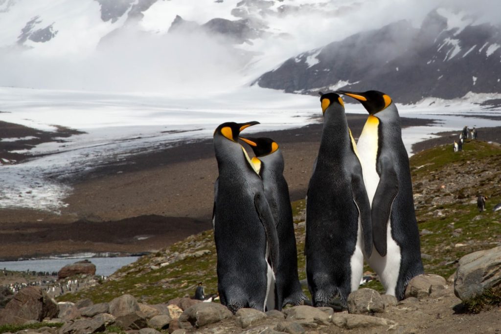 LinuxでC言語プログラミング – SlackNote