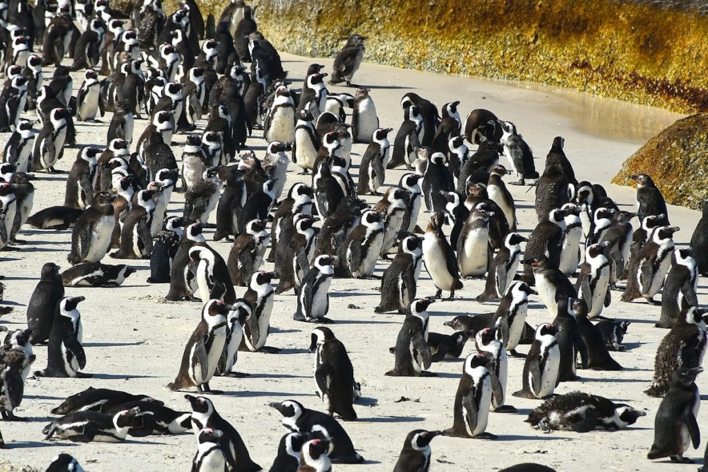 [Linux] DRAM（物理メモリ）の安定性をテストする – SlackNote